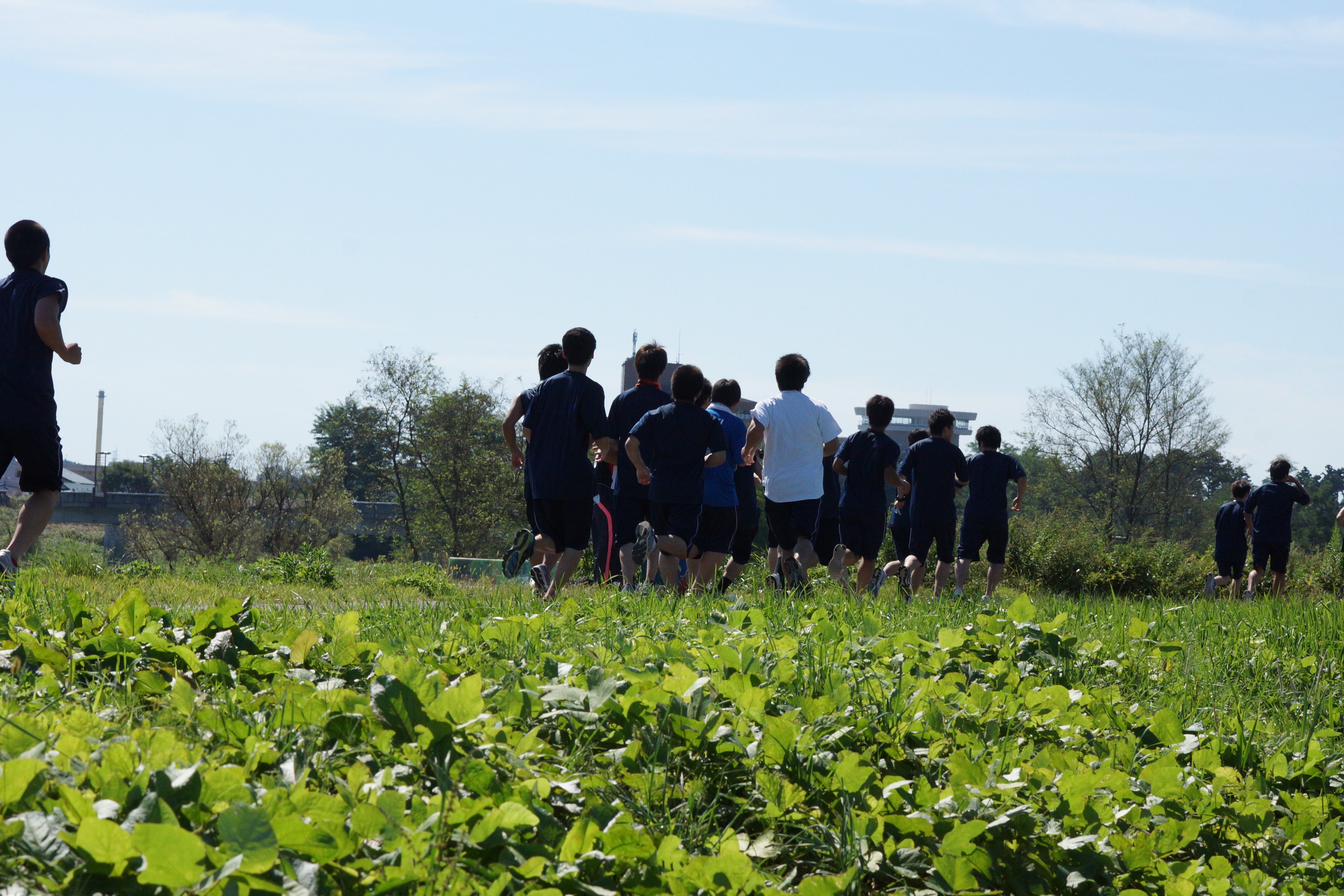 Http Www Tohoku Hs Nihon U Ac Jp Column Files E3 83 9e E3 83 A9 E3